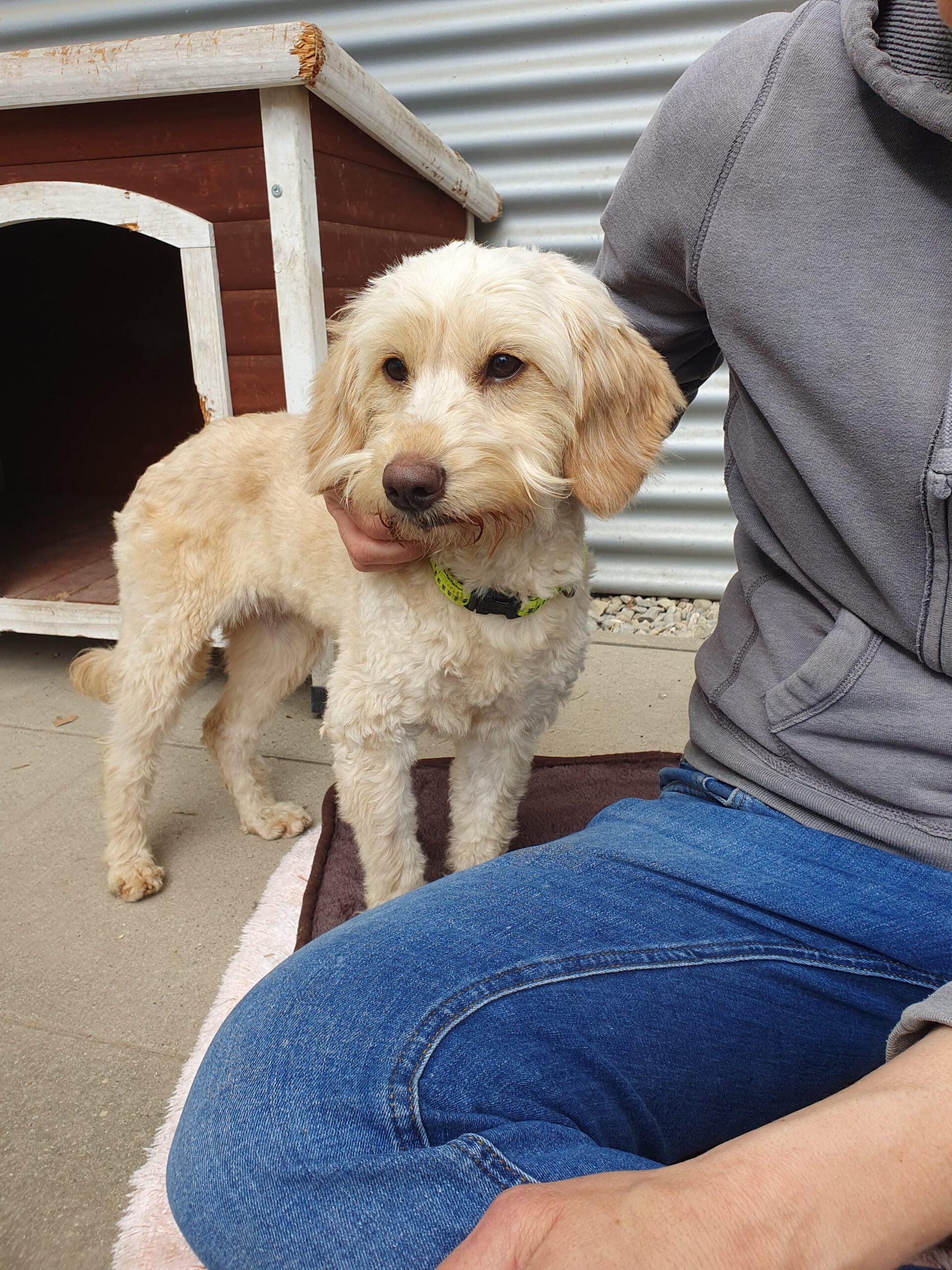 Tiffy & Samson – Tierheim Ansbach